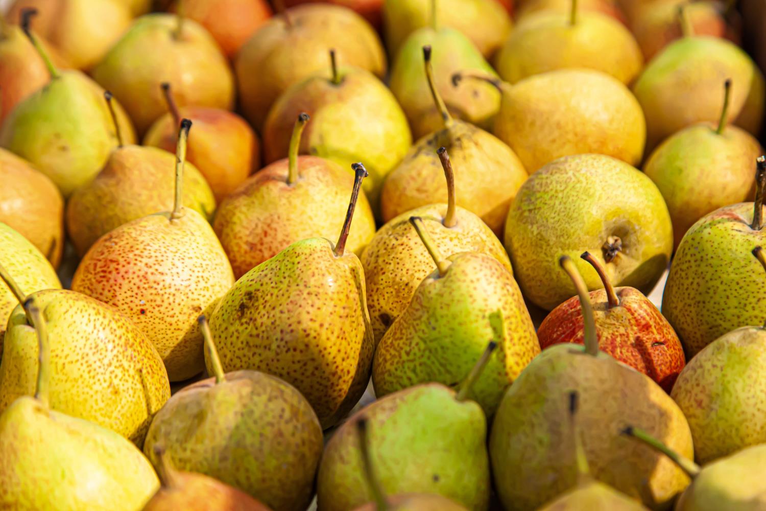 Are Pears Good for Your Gut Health? Benefits Explained